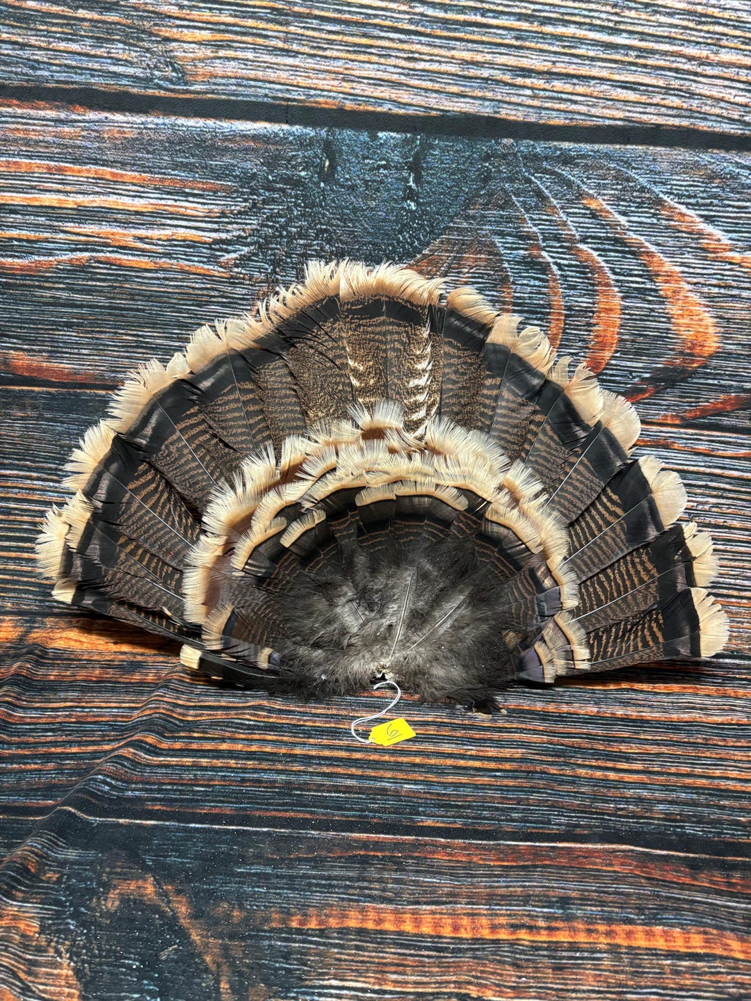 Real Wild Turkey Tail Merriam Feather Millinery Big Tom Decoy Bustle ...
