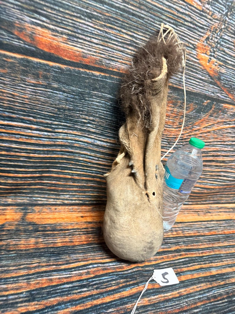 Buffalo Scrotum Real Bison Ball Bag Oddity Nutsack Gag Gift Winter Bag ...