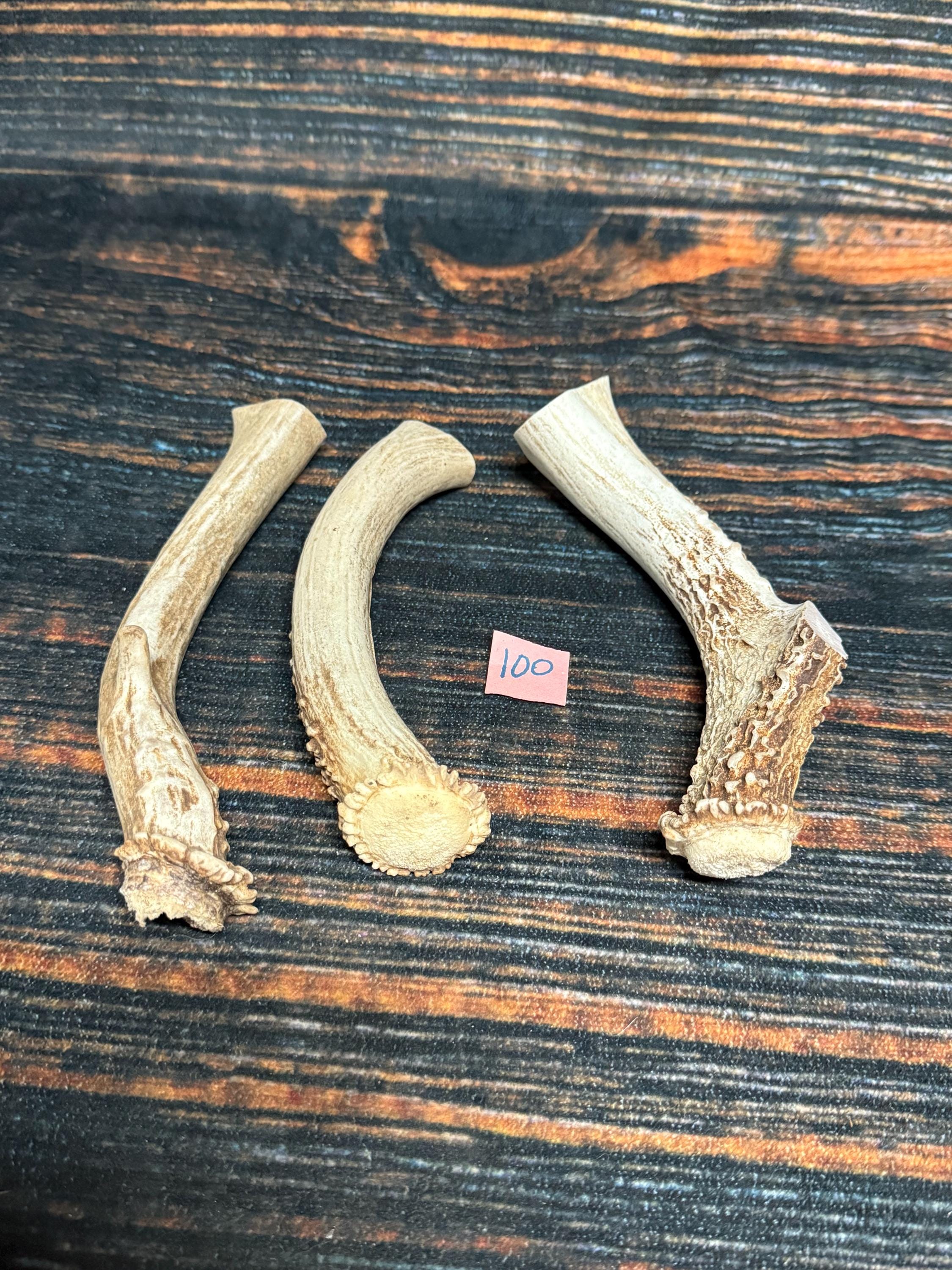 3 Wild Deer Cut Antler W/burs Unique Handle Drawer Man Cave Western ...