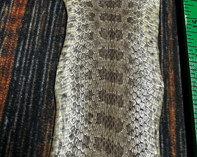 REAL Rattlesnake Skin Prairie Rattler Hide Dry Tanned Bow Wrap Blank ...