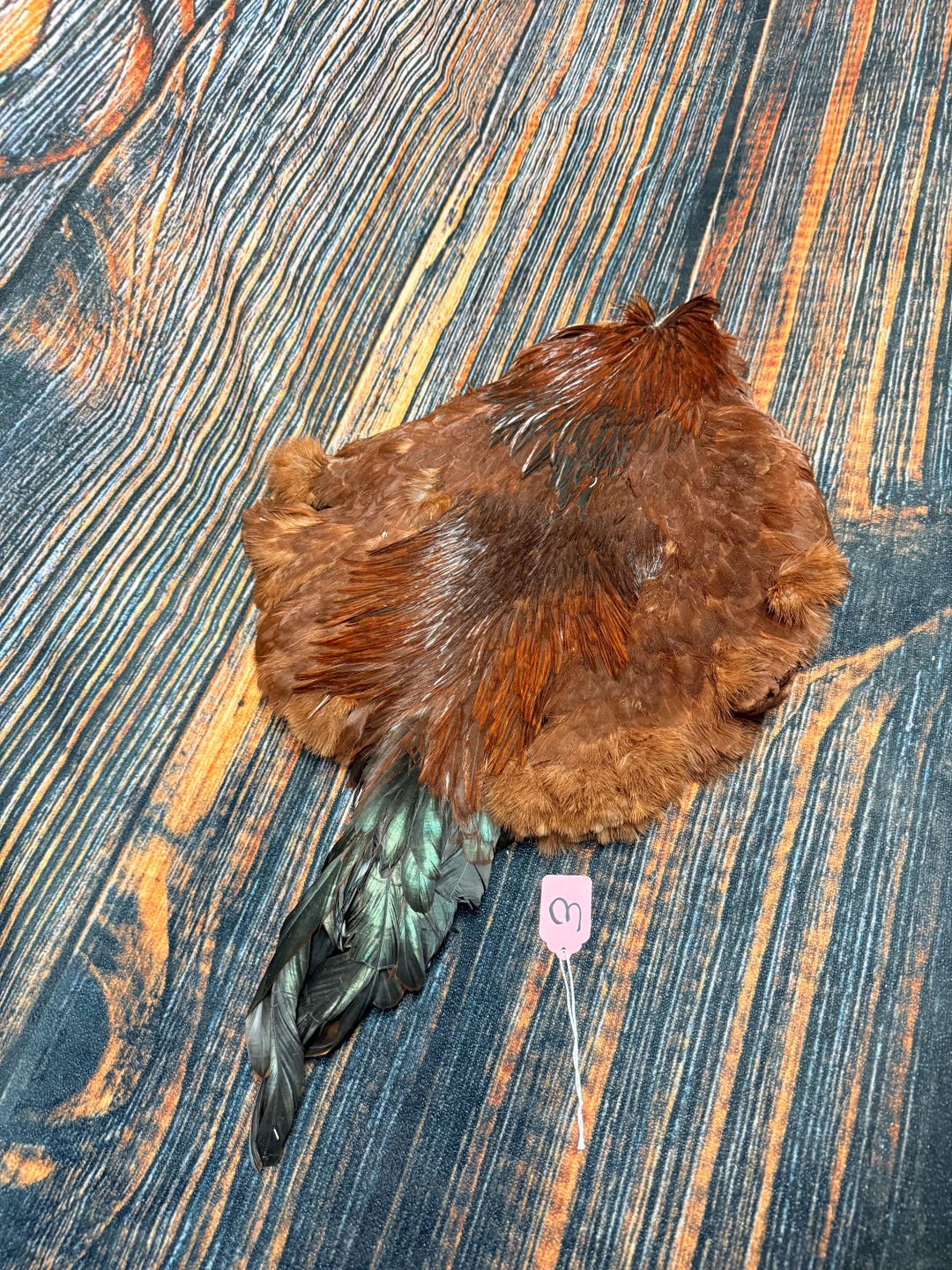 Real Chicken Skin Feather Millinery Bustle Western Decor Fly Tying Art ...