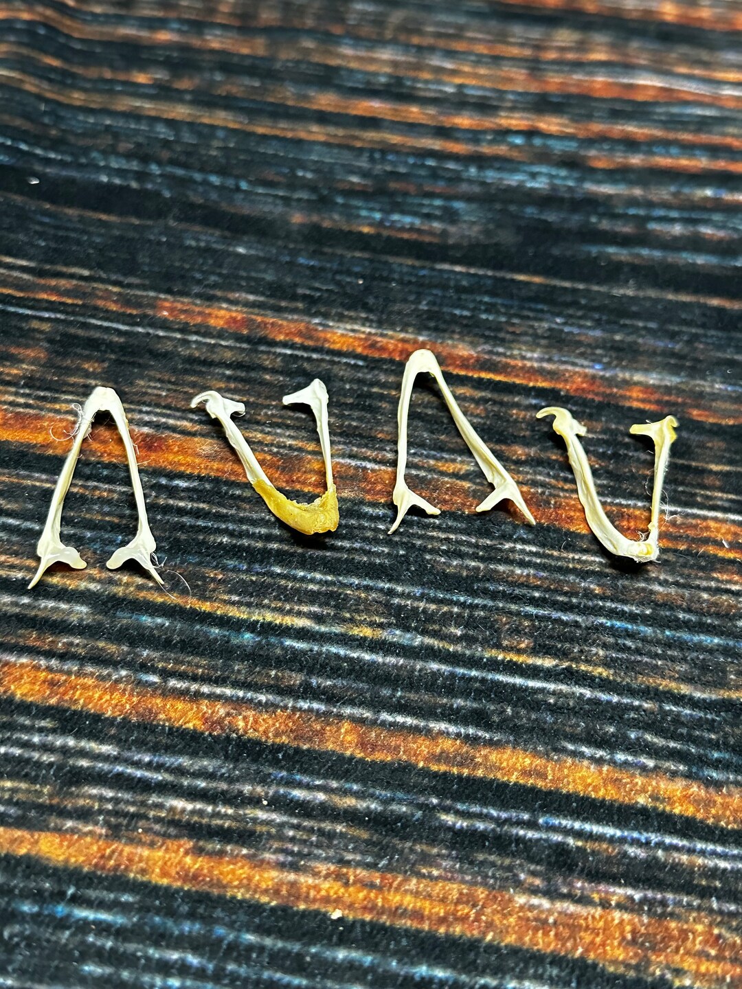 4 Real Chicken Jaws Pairs KNIFE Handle Craft Art Supply Mountain Man ...