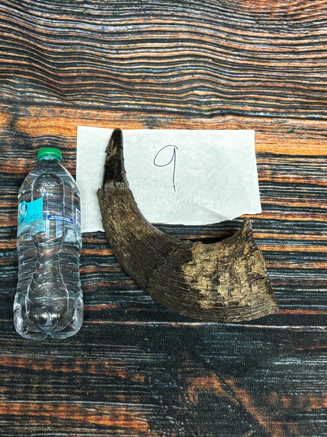 Real American Bison Buffalo Horn Cap Western Yard Decor Art Craft ...