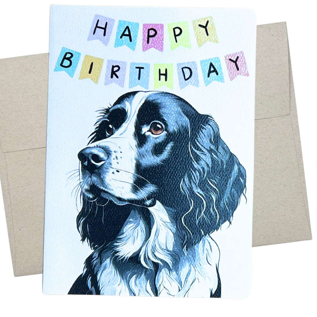 English Springer Spaniel Birthday Card (1 Premium Folded Card, Blank ...