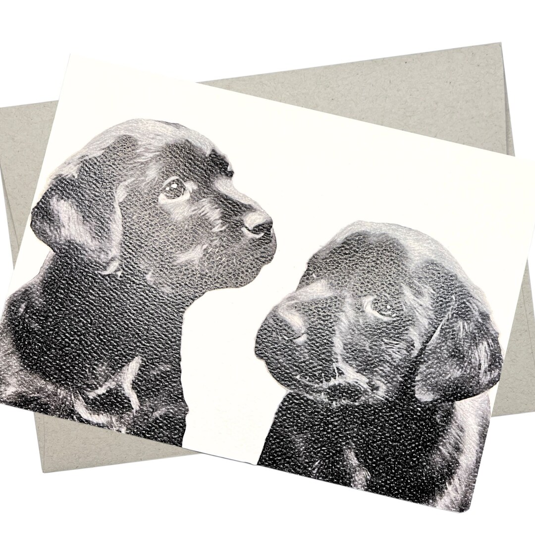 Black Lab Card, Black Labrador Retriever Birthday Card (1 Premium ...