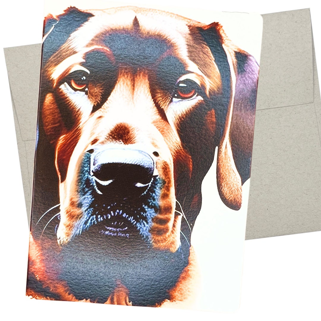 Labrador Retriever Card, Yellow Lab Birthday Card (1 Premium Folded ...