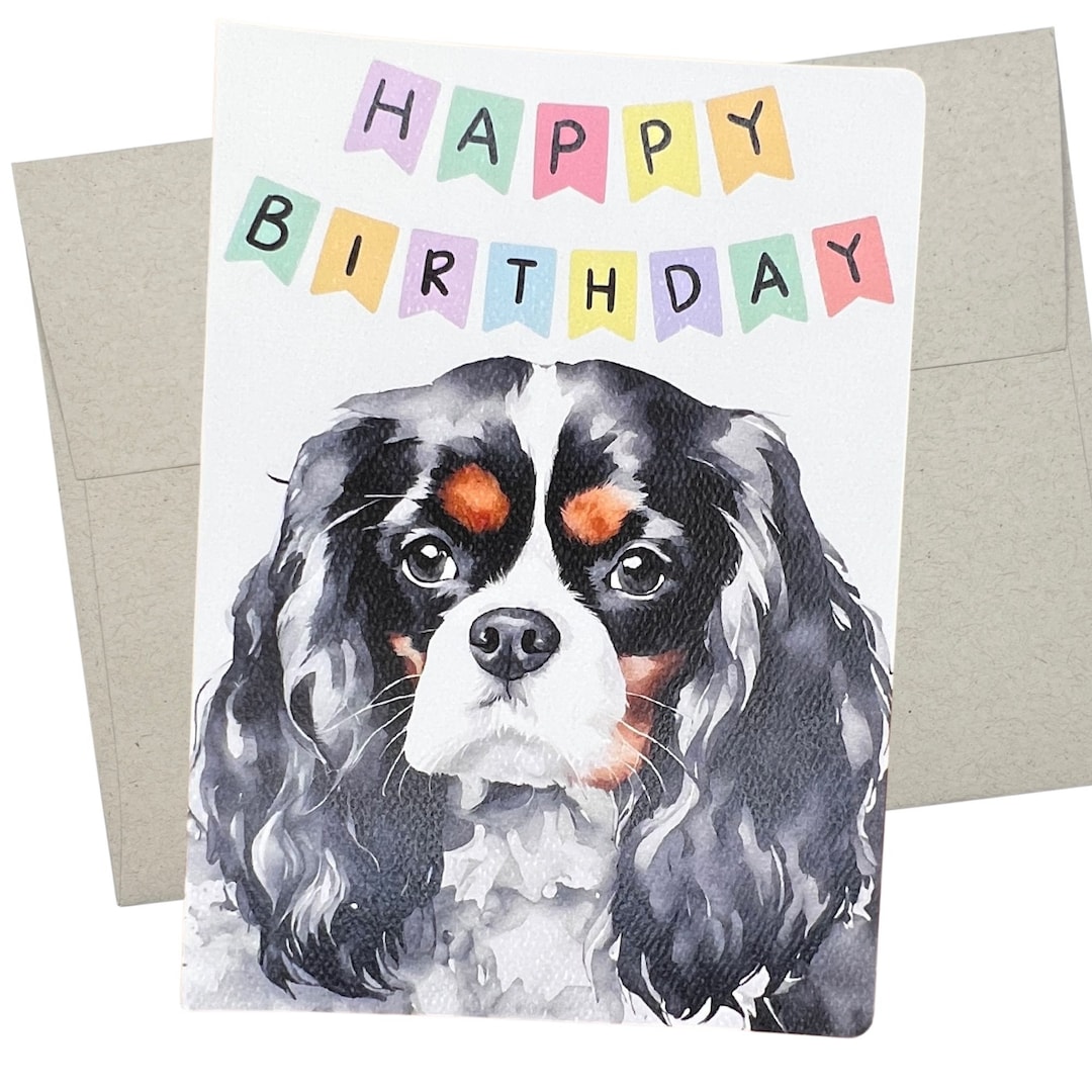 Cavalier King Charles Birthday Card (1 Premium Folded Card, Blank ...