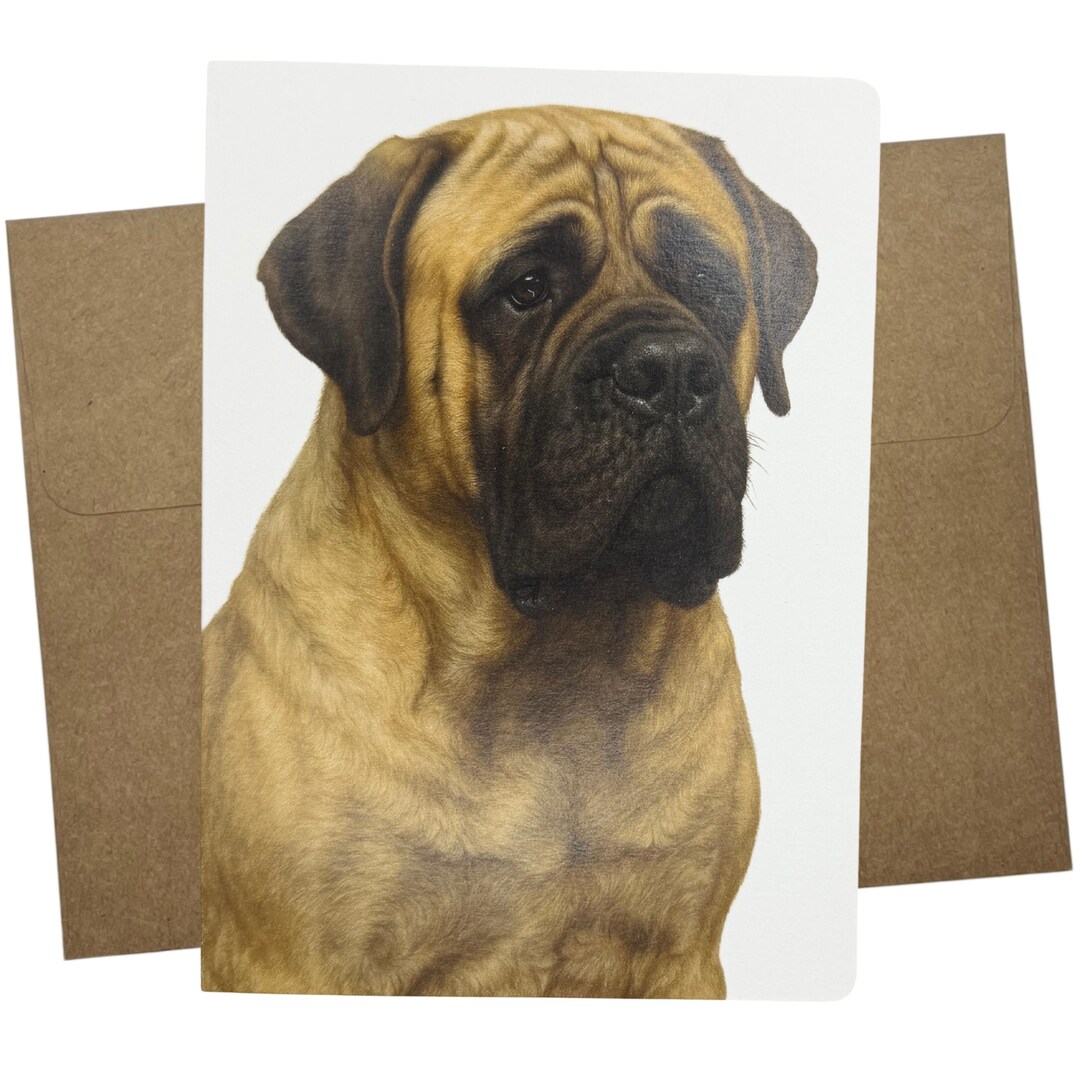 English Mastiff Greeting Card (5X7 Inch, Blank Inside) for Dog Thank ...