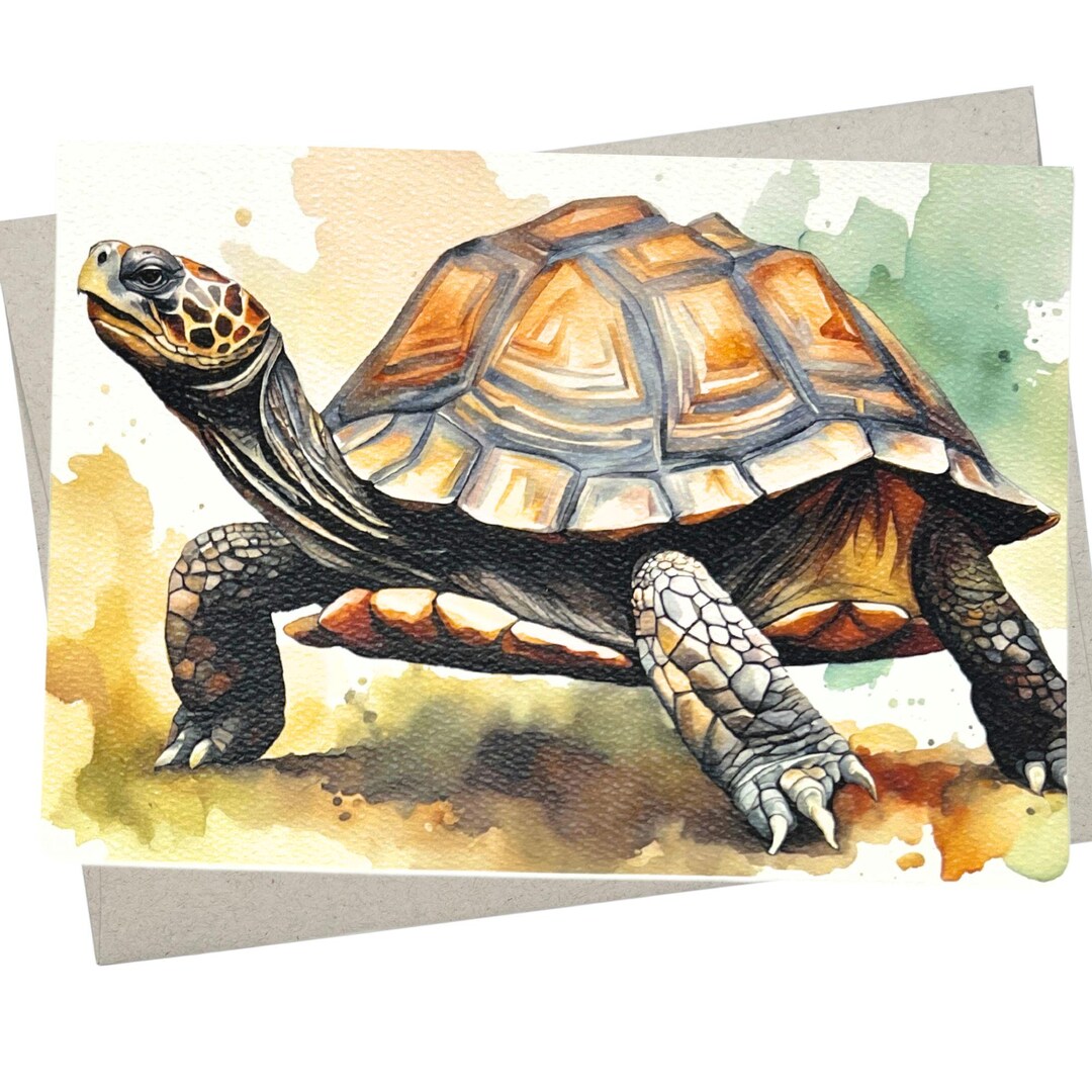 Tortoise Card, Tortoise Birthday Card (1 Premium Card, 5X7 Inch) Blank ...