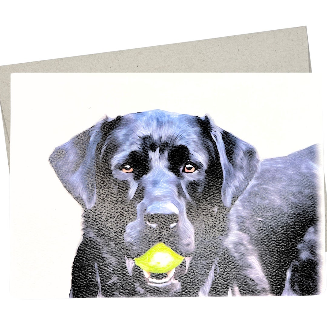 Black Lab Card (7X5 Inches and Blank Inside) Black Labrador Retriever ...