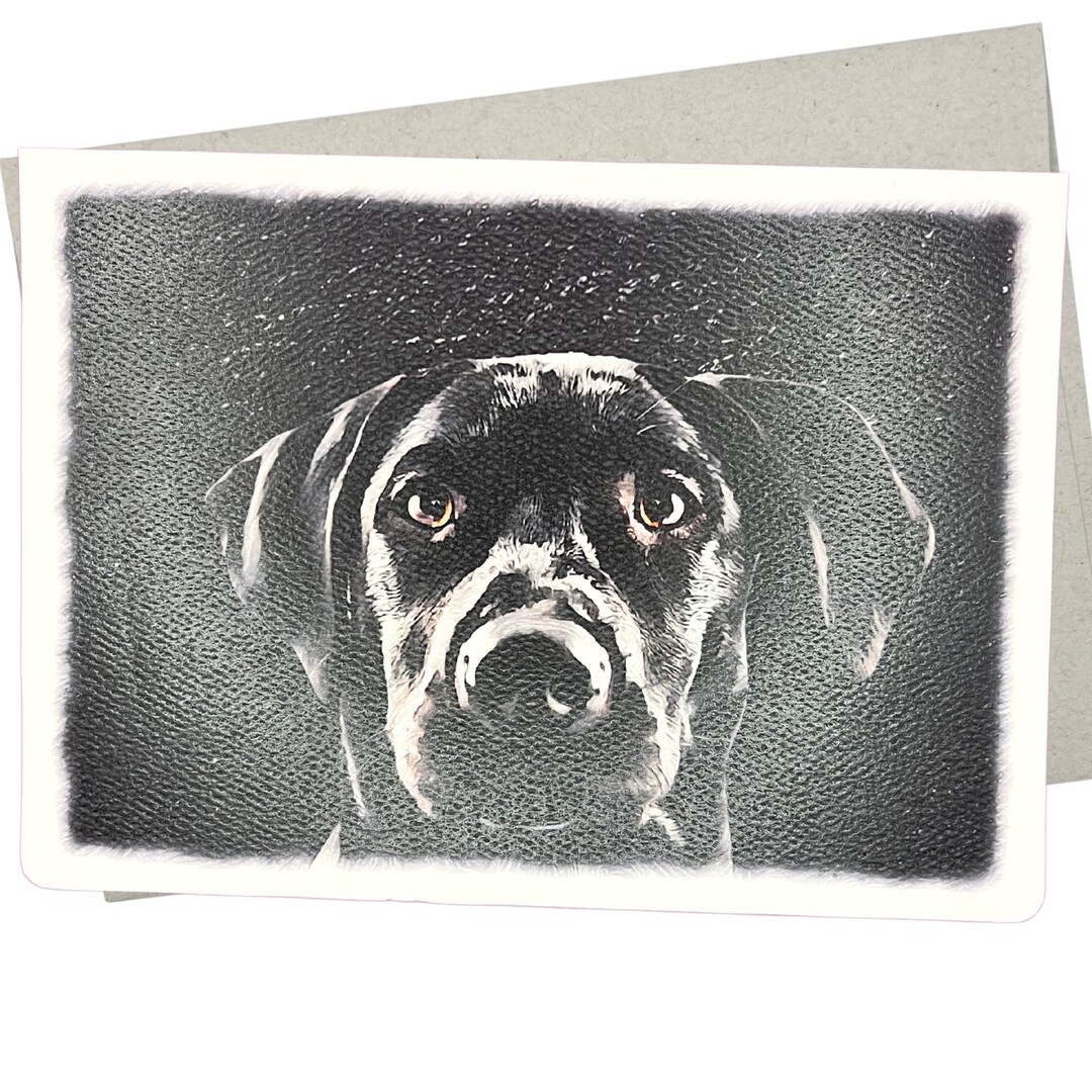 Black Lab Greeting Card With Envelope (5X7 Inches and Blank Inside) Dog ...