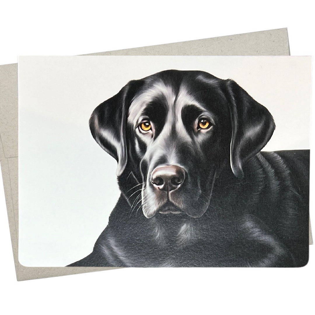 Black Lab Retriever Card, Labrador Retriever Birthday Card (1 Premium ...