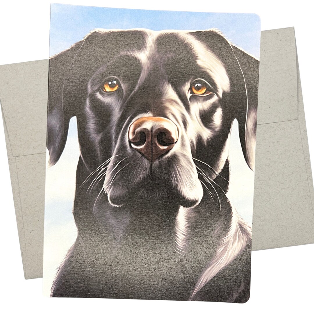 Black Labrador Retriever Card, Black Lab Birthday Card (1 Premium Card ...
