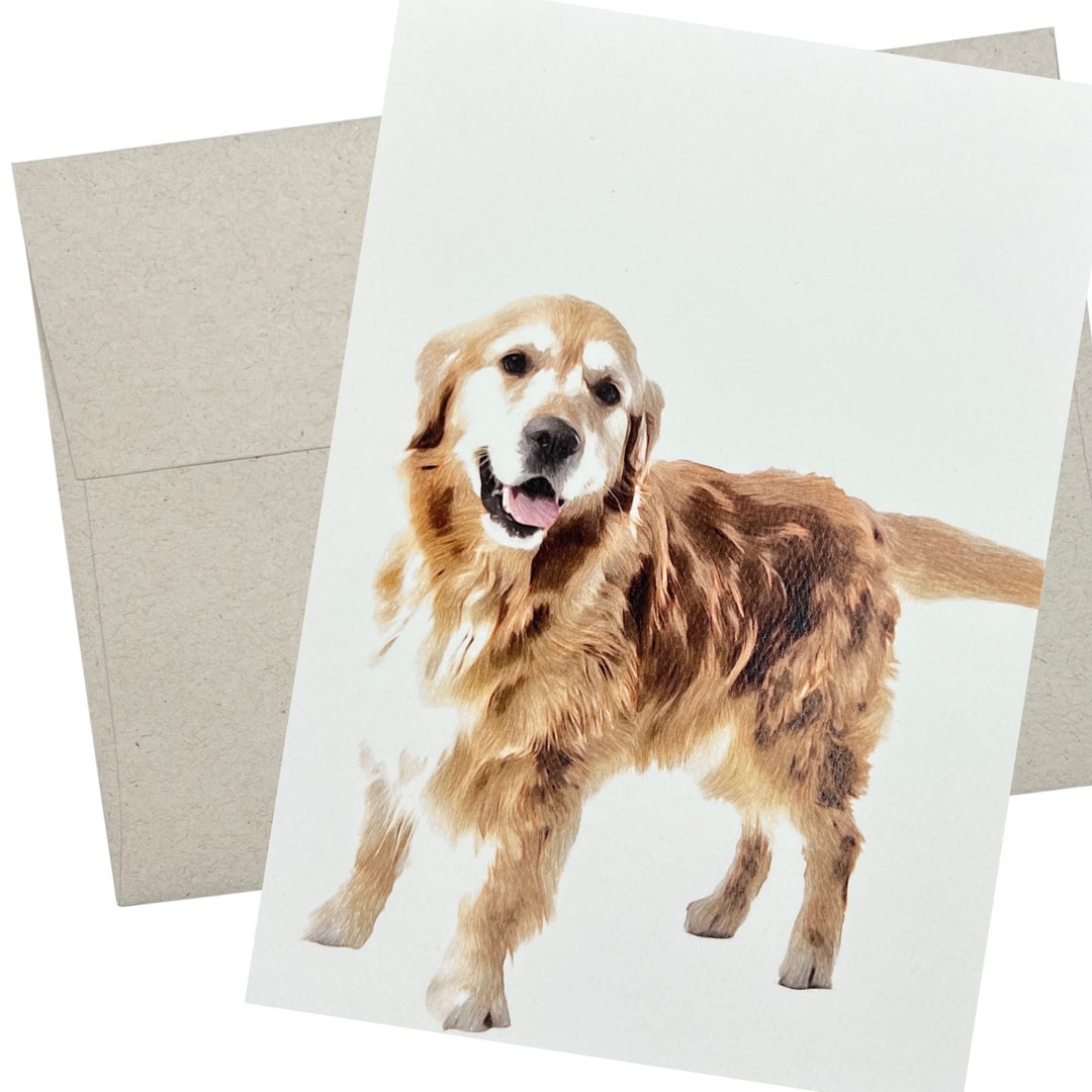 Golden Retriever Card (7X5 Inches and Blank Inside) Golden Retriever ...