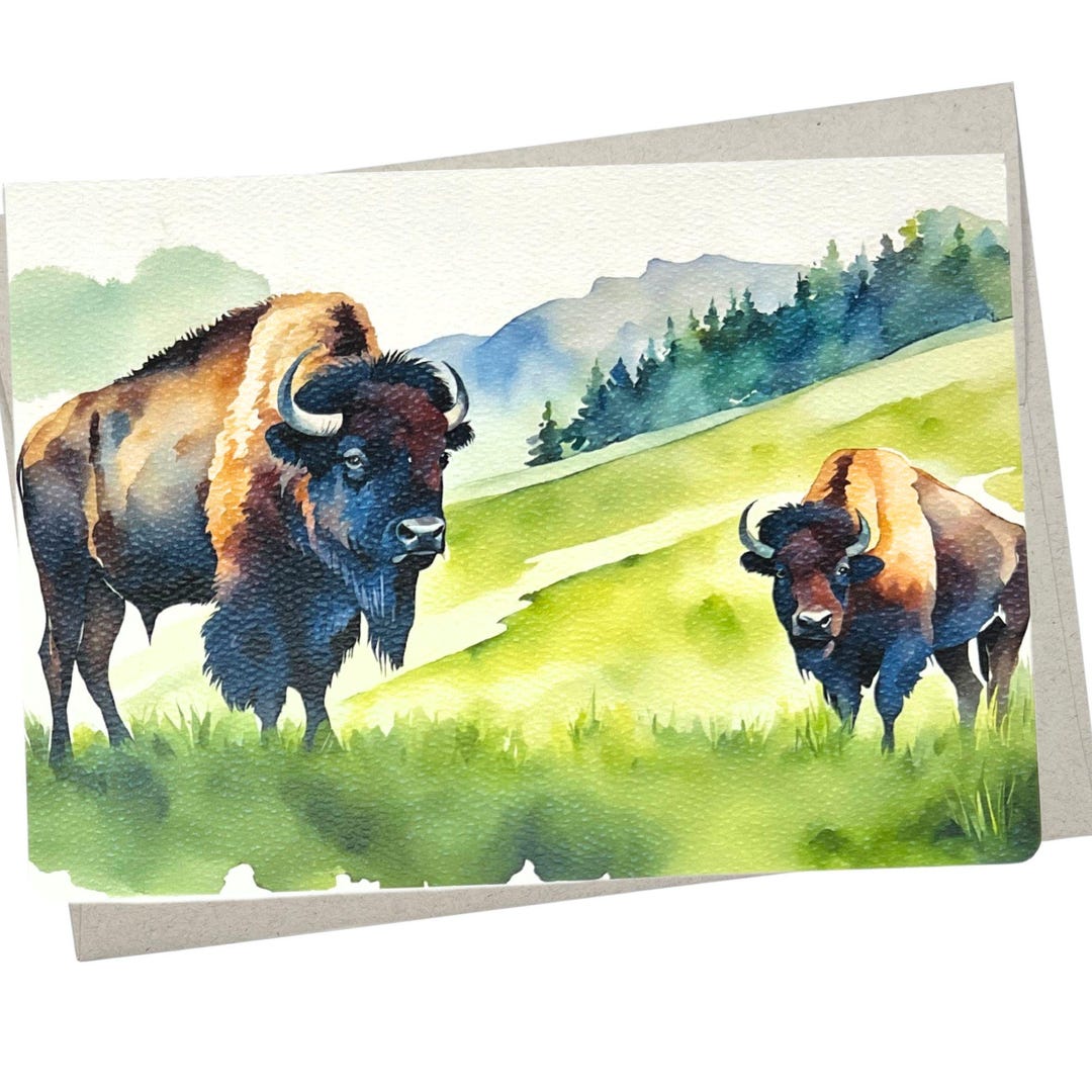 Bisen Birthday Card (1 Premium Card, 5X7 Inch) Bisen Note Card Blank ...