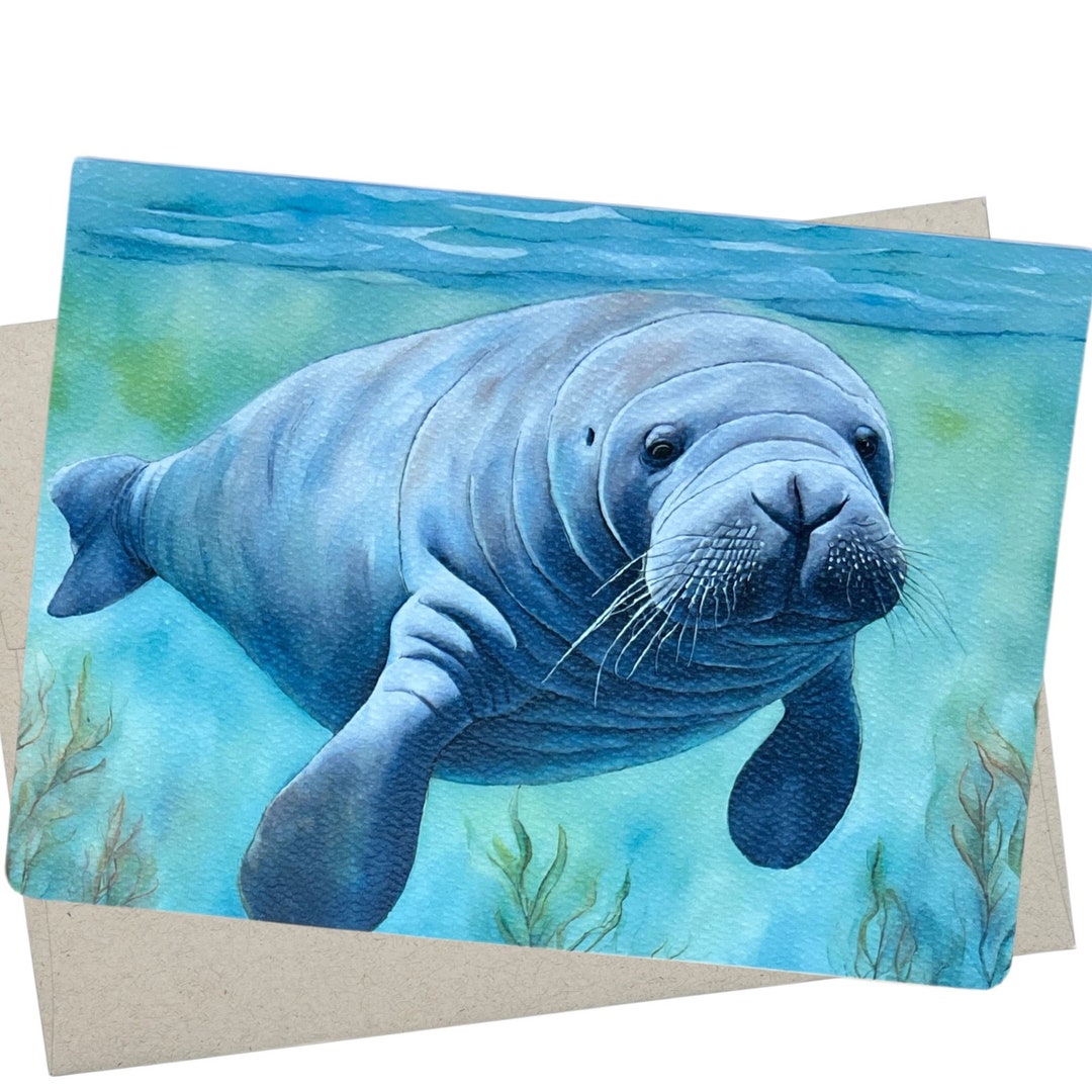 Manatee Birthday Card (1 Premium Card, 5X7 Inch) Manatee Marine Animal ...