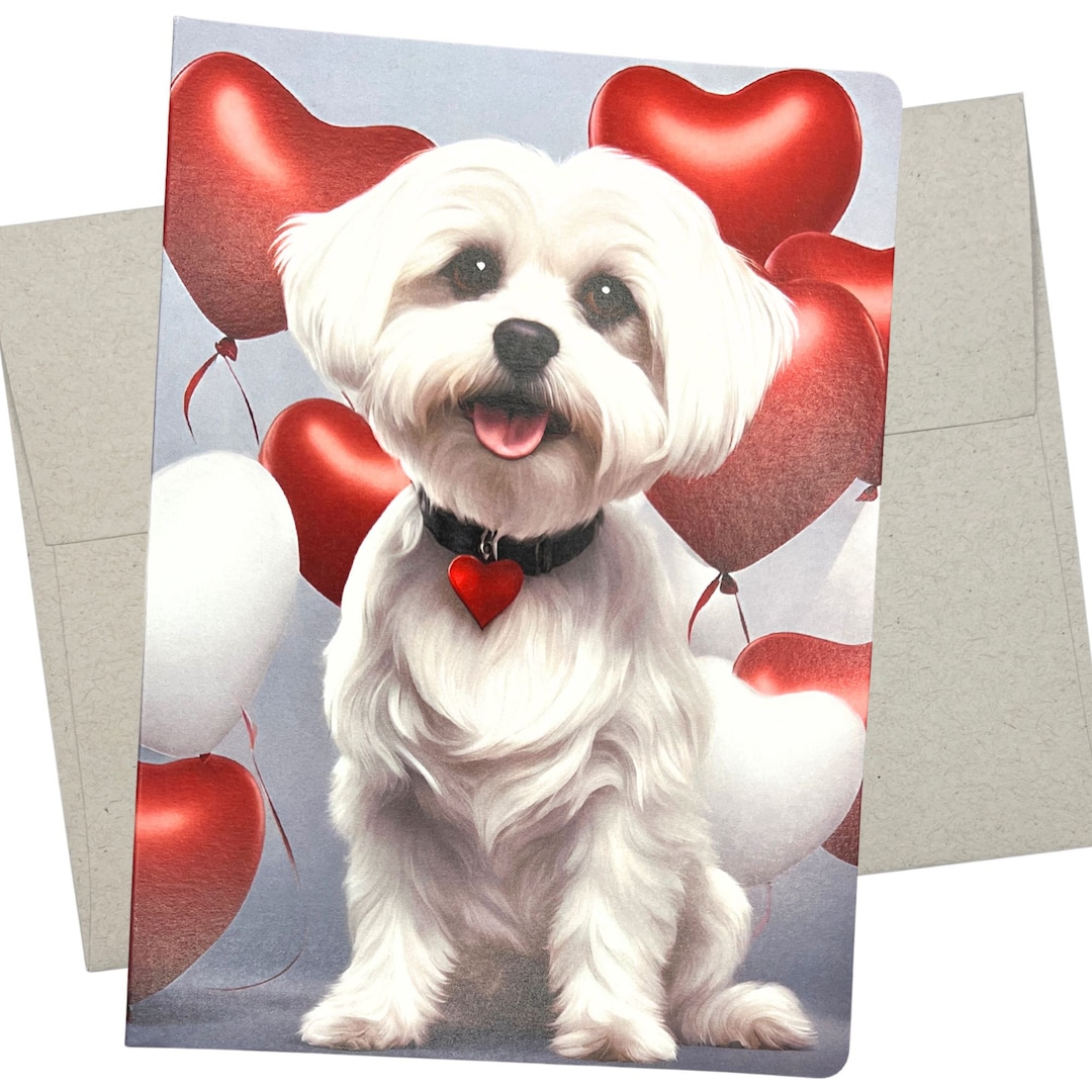Maltese Birthday Card, Dog Anniversary Card (1 Premium Card, 5X7 Inches ...