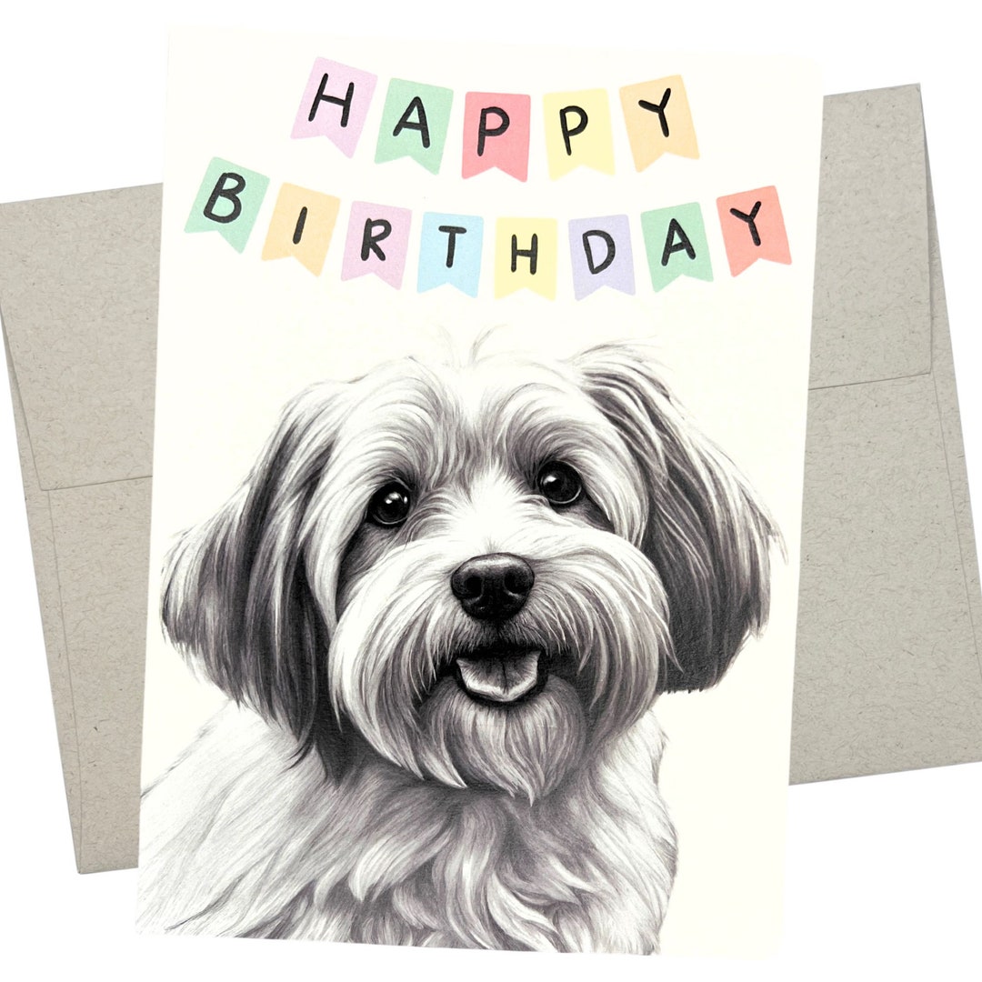 Havanese Birthday Card, Dog Birthday Card (1 Premium Folded Card, Blank ...
