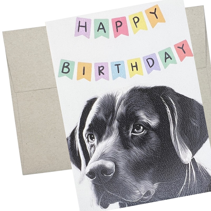 Black Lab Birthday Card - Etsy