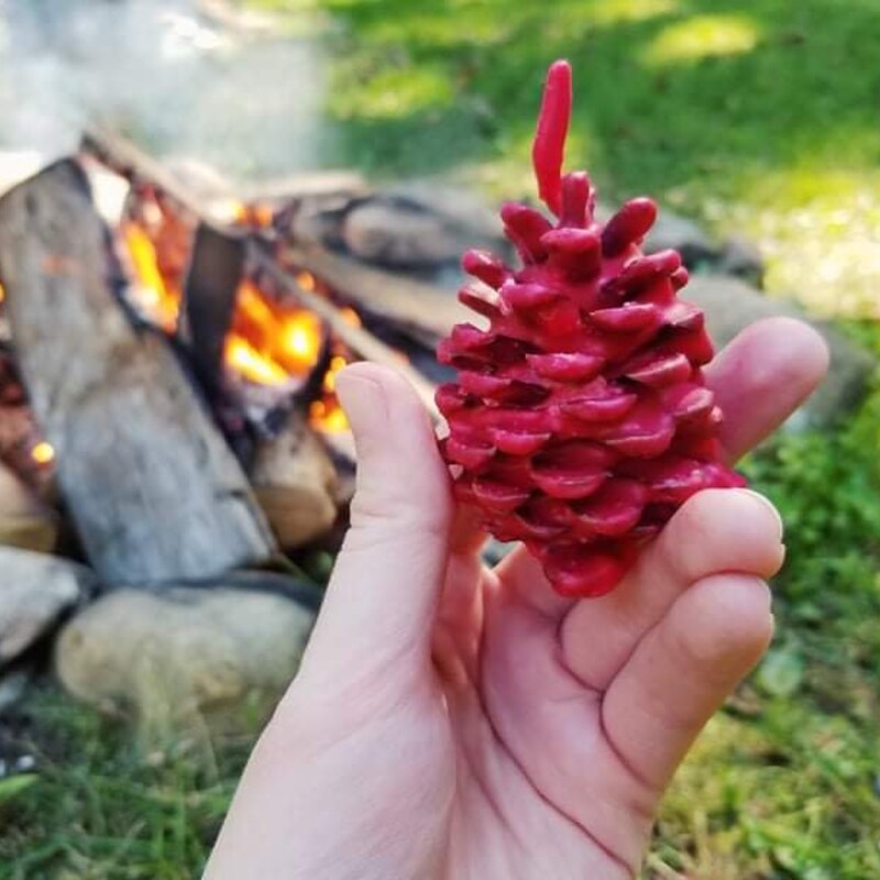 Wax Fire Starter - Etsy