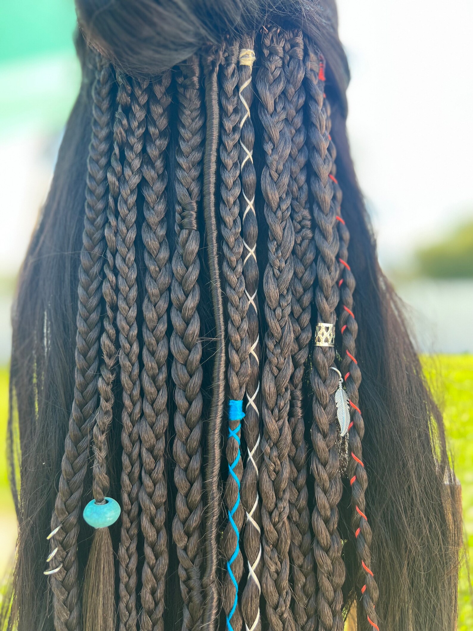 Dark Brown Braids With Viking Dreadlocks and Coral and Turquoise ...