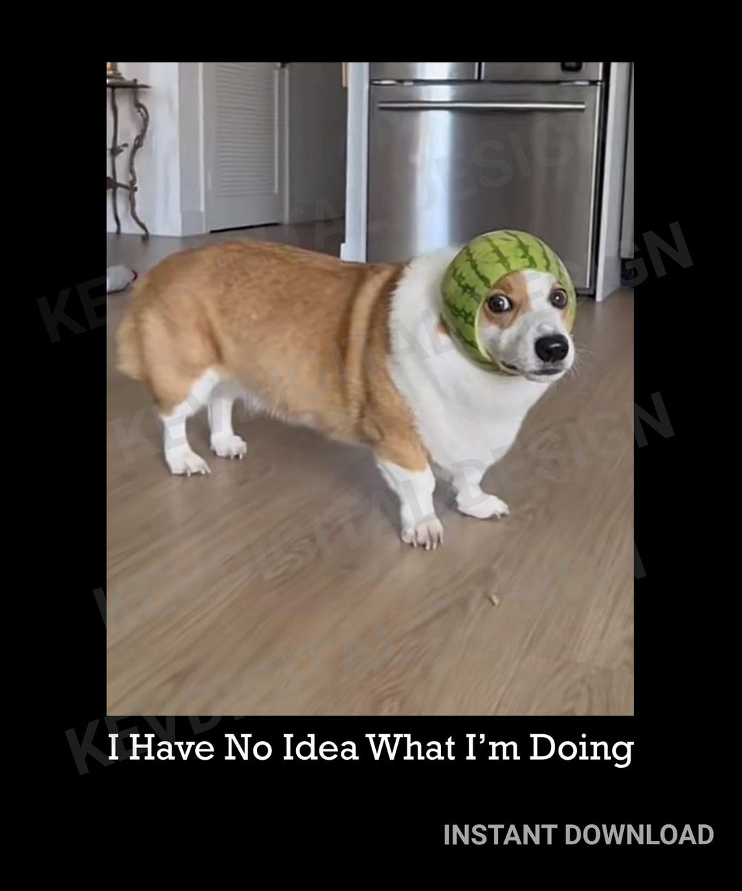 Funny Corgi Watermelon Meme PNG – I Have No Idea What I’m Doing – Dog ...