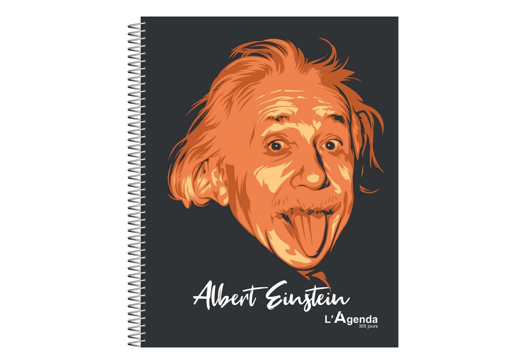 School Diary 2023-2024 / Large Format / Albert Einstein / - Etsy