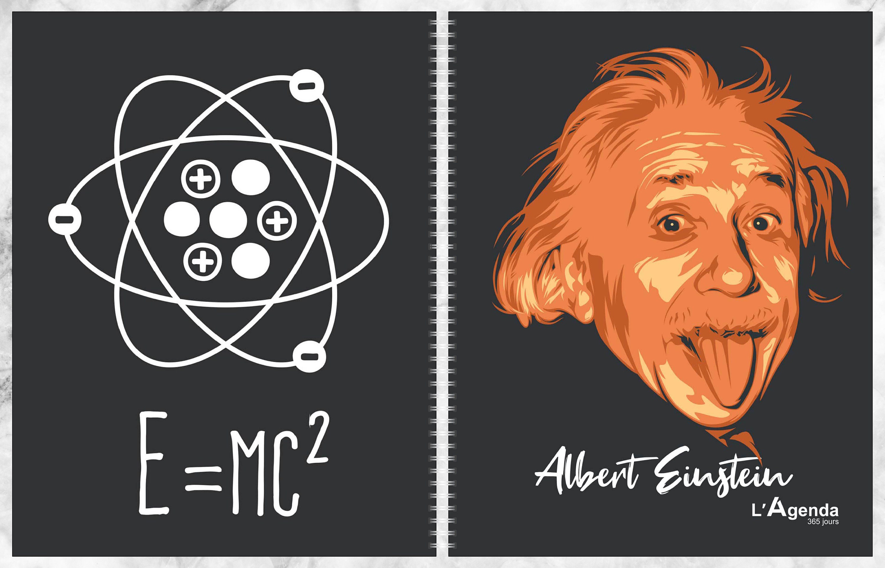 School Diary 2023-2024 / Large Format / Albert Einstein / - Etsy