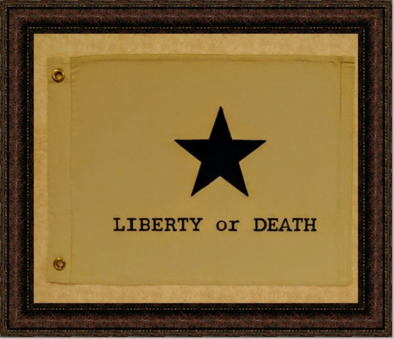 Liberty or Death Flag - Antique and Historic Art- Framed Cotton Cloth ...