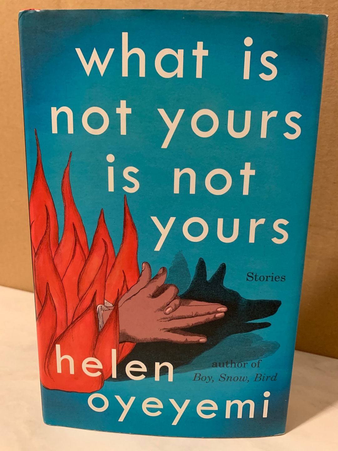 First Edition Novel: What is Not Yours is Not Yours, Helen Oyeyemi - Etsy