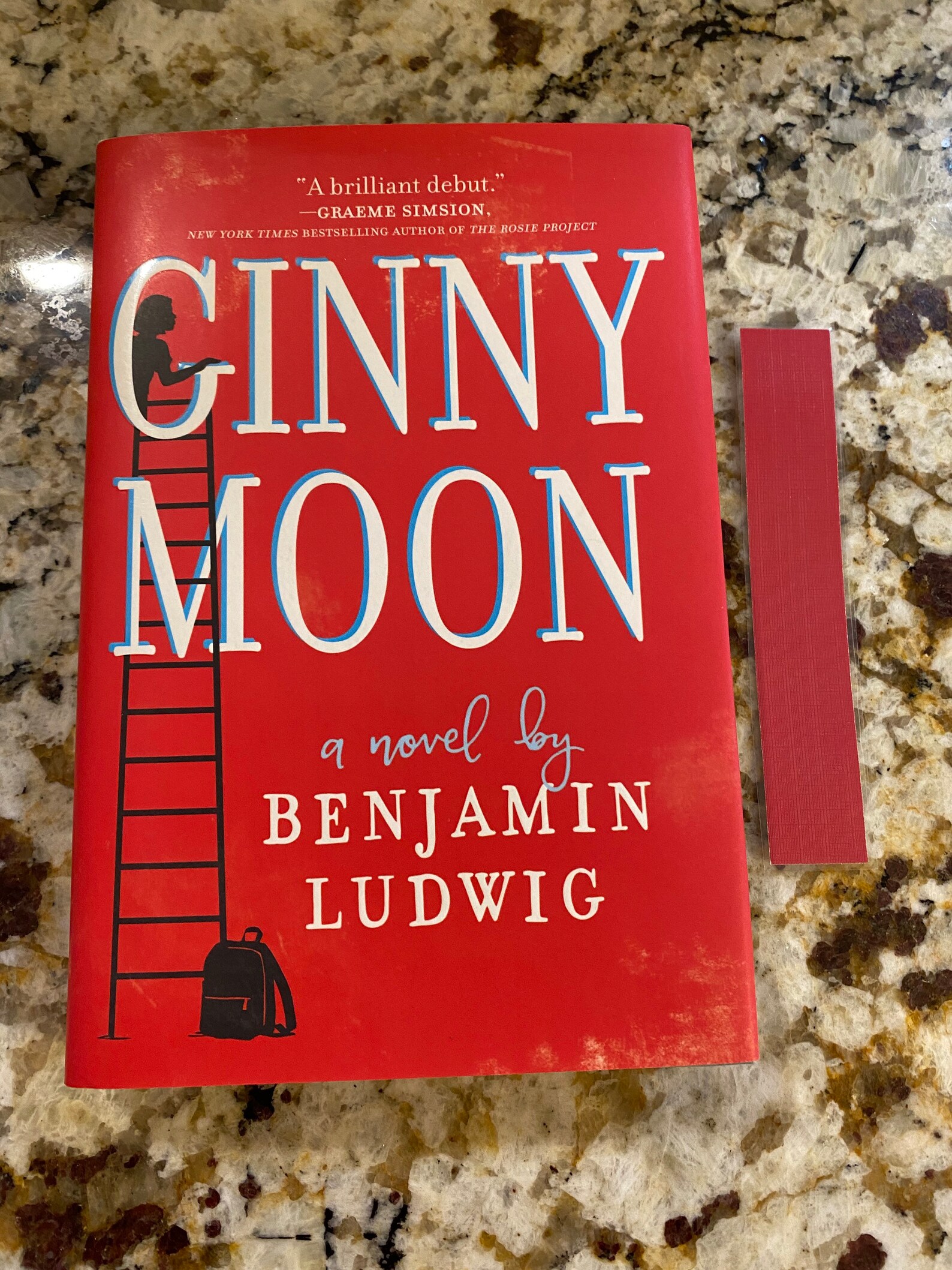 Ginny Moon a Novel by Benjamin Ludwig Secondhand Hardcover - Etsy