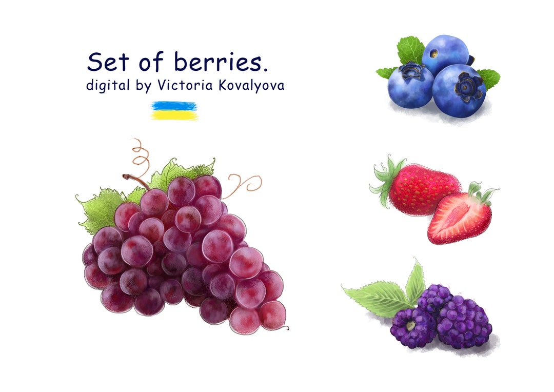 Set of Berries Clipart - Printable Fruits - Berries Illustration ...