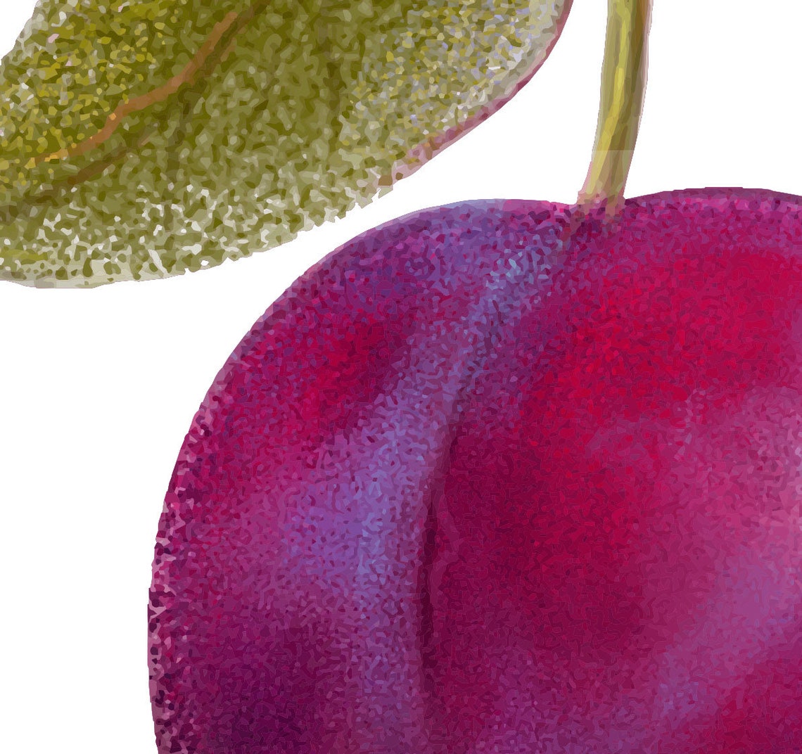 Plum Fruit Digital Art Food Illustration Download Original Painting PNG ...