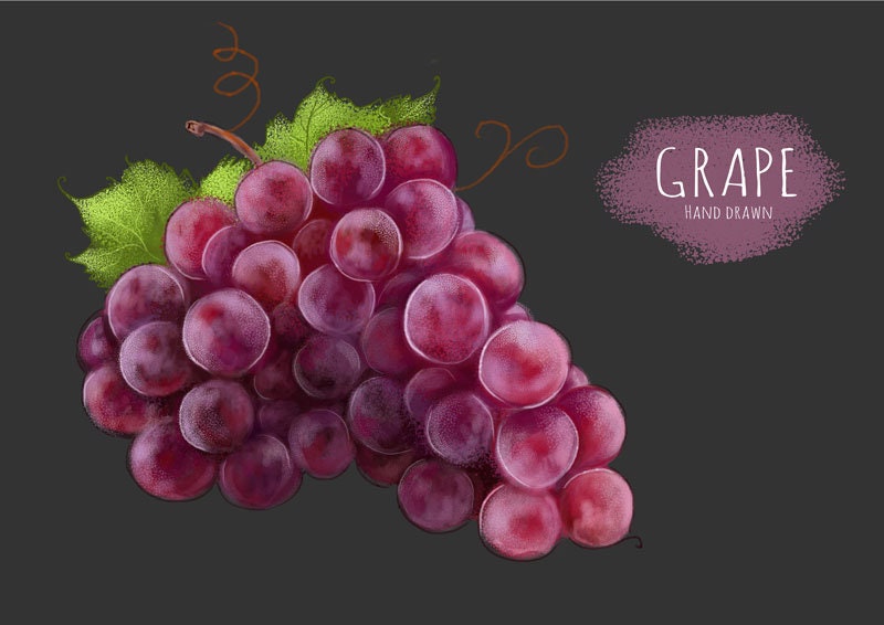 Grape Digital Painting Printable Art Food Illustration Instant Download ...