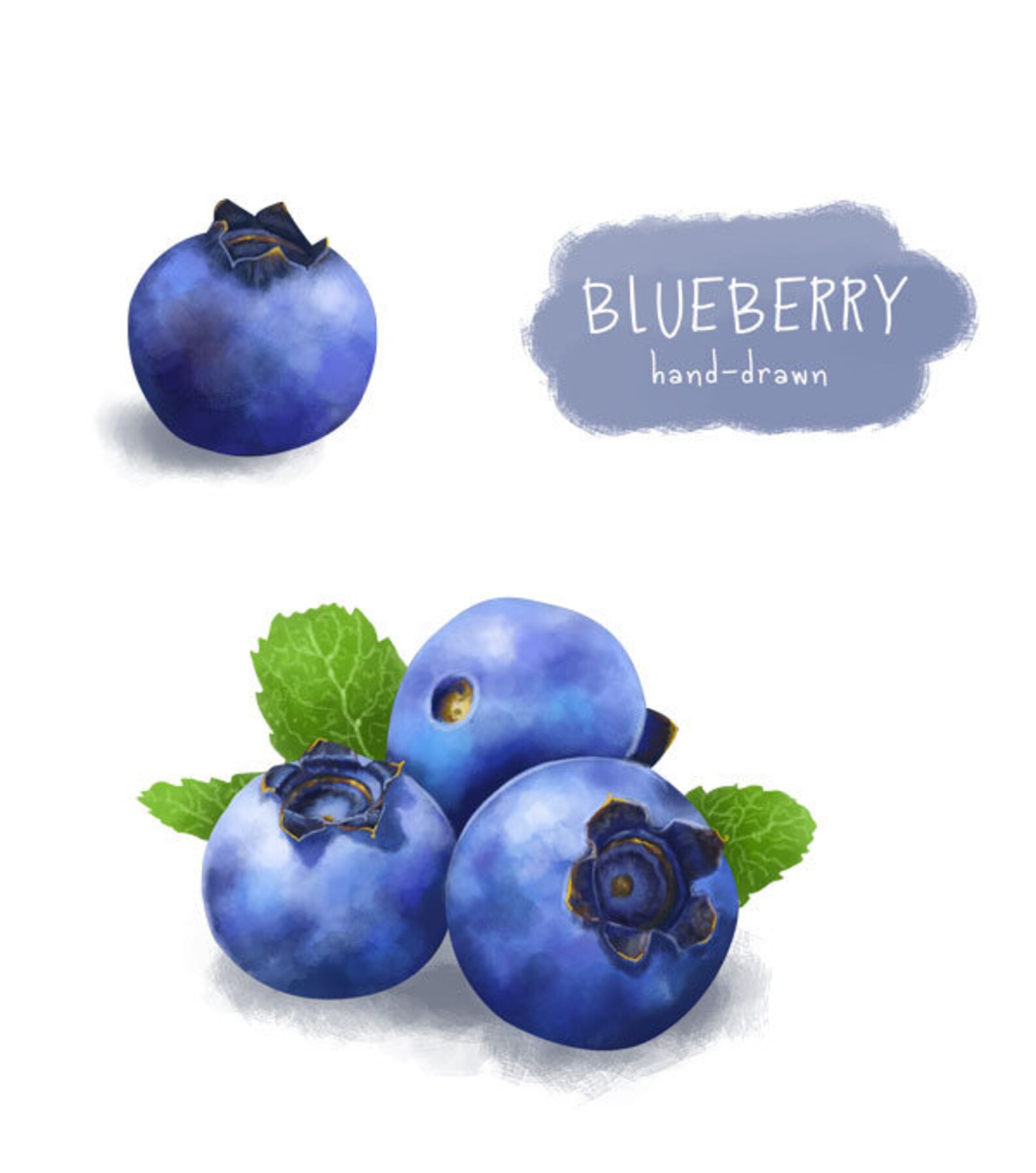 Blueberry Digital Food Illustration Download Original Painting PNG PDF ...