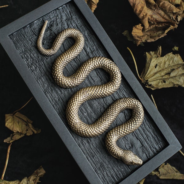 Snake Wall Art - Etsy