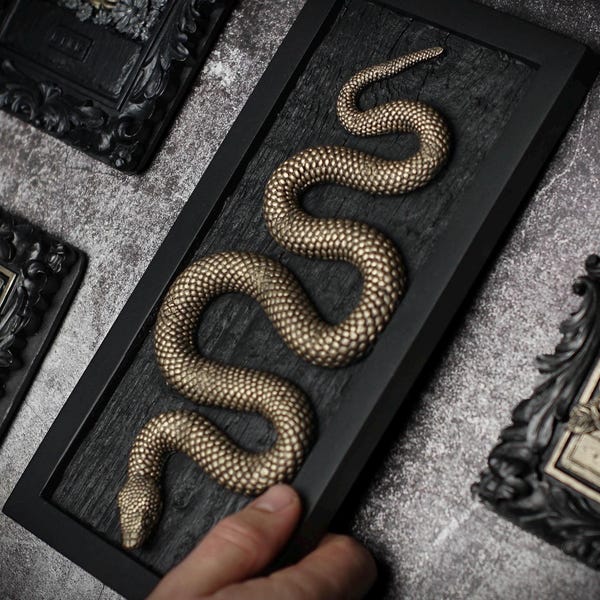 Snake Wall Art - Etsy