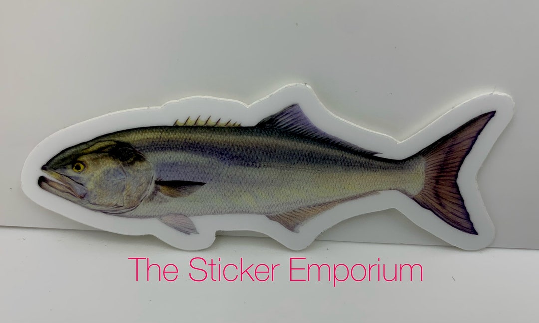 Small Bluefish Fishing Pole Sticker Water Bottle Laptop Tumbler ...