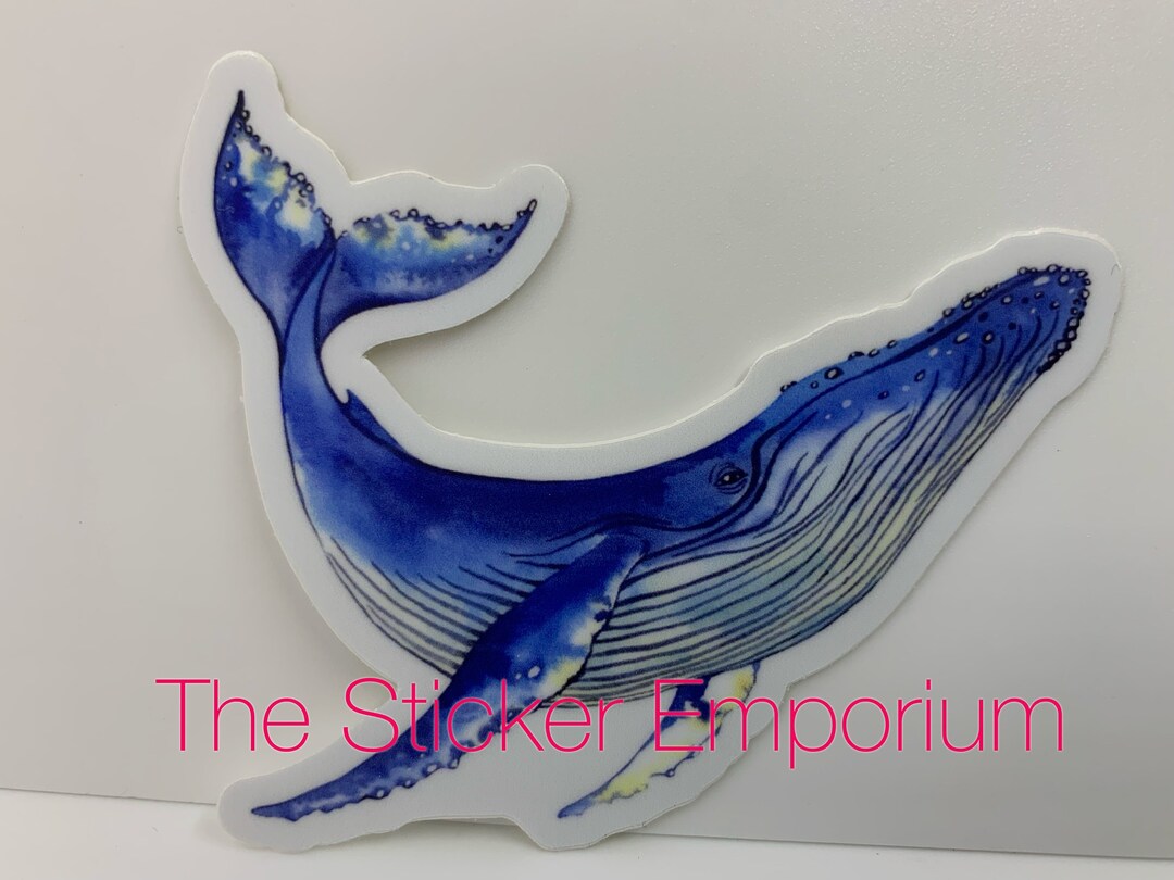 Humpback Whale Sticker, Waterproof Ocean Nautical Decal - Etsy