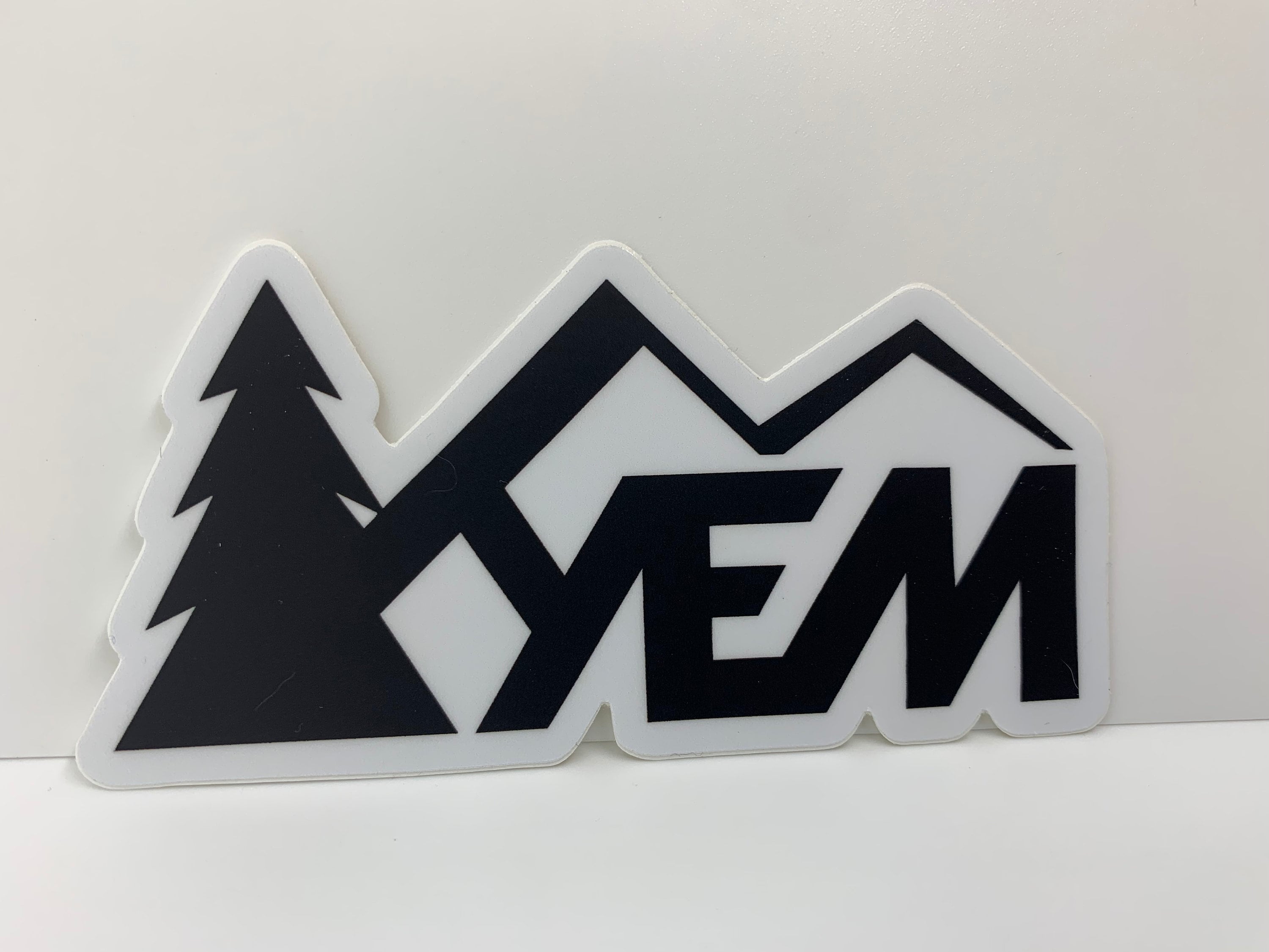 YEM Phish 4” Sticker ~ Water Bottle Laptop Tumbler Car Lyrics Decal - Etsy
