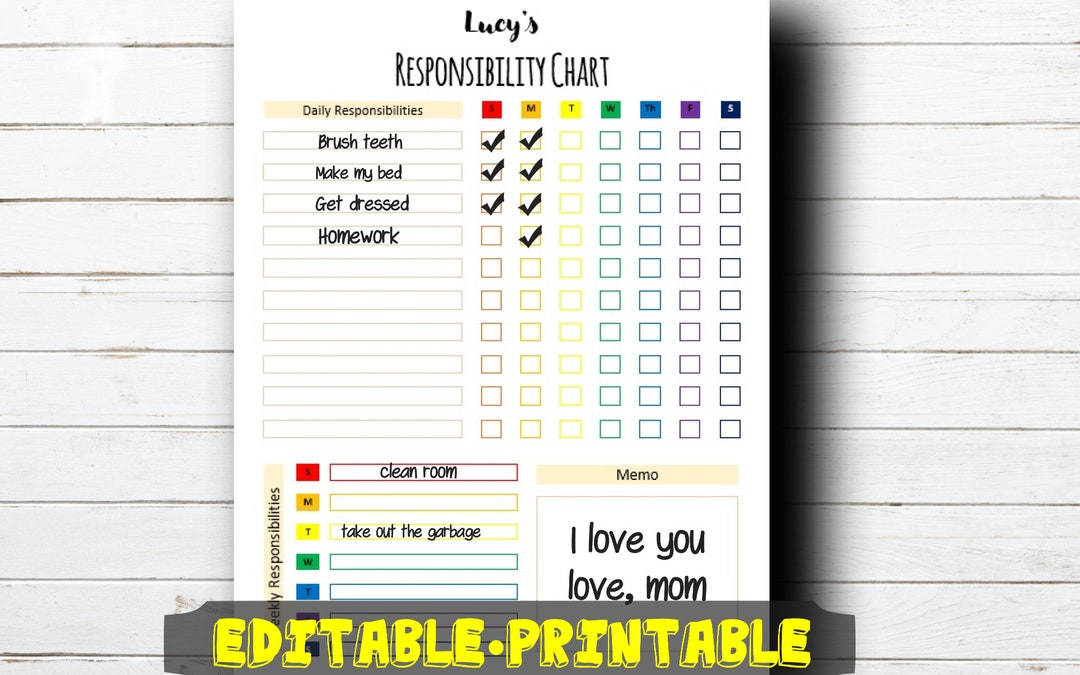Responsibilty Chart Printable Editable PDF - Etsy New Zealand