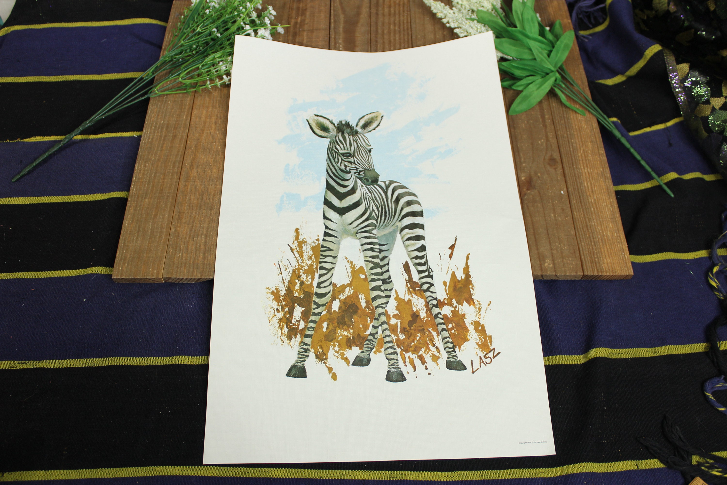 African Zebra Colt Print Picture on Canvas Paper White Brown - Etsy