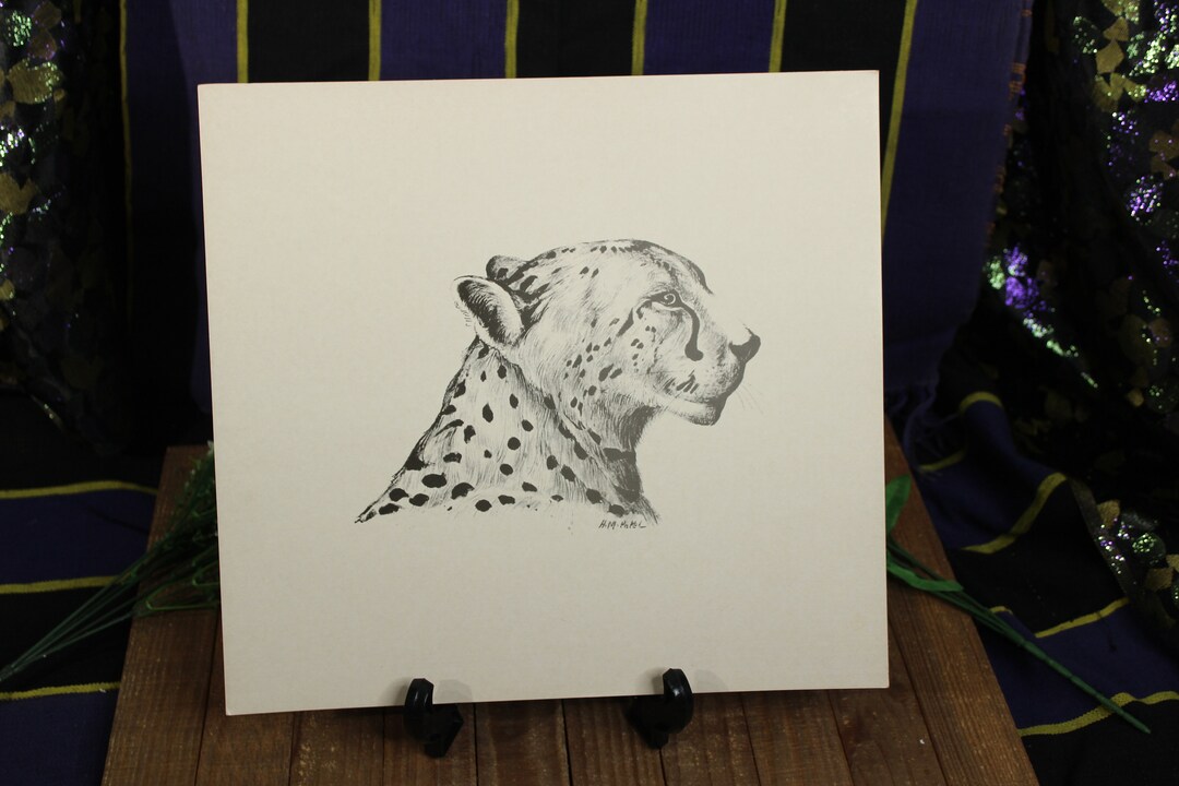 African Cheetah Print Picture on Cardstock White Black 14in X 13in ...