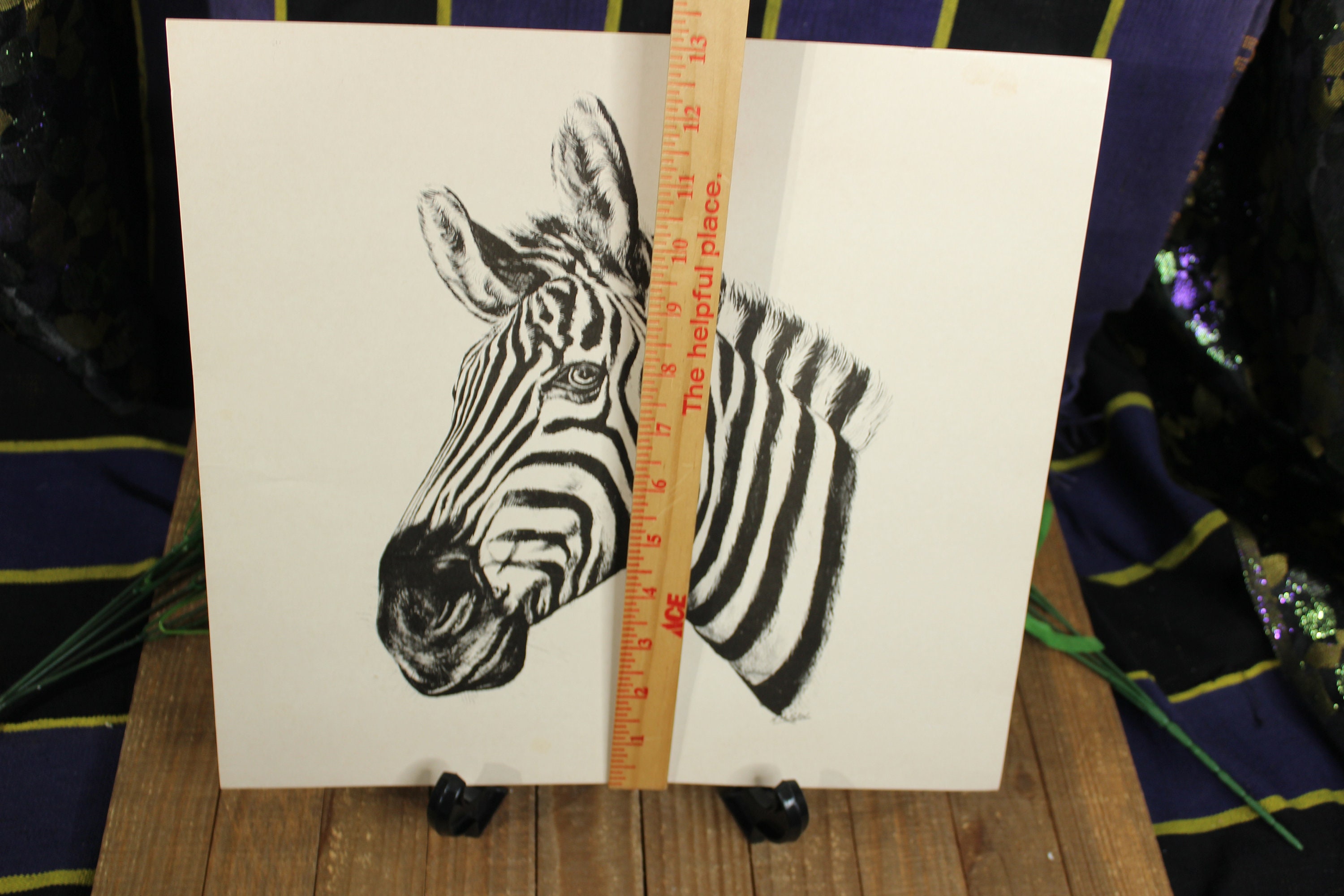 African Zebra Print Picture on Cardstock White Black 14in X - Etsy