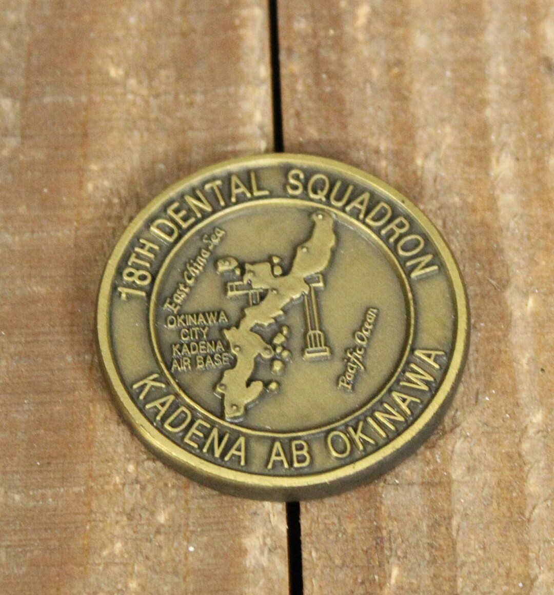 United States Air Force 18th Dental Squadron Bronze Collectable Metal ...