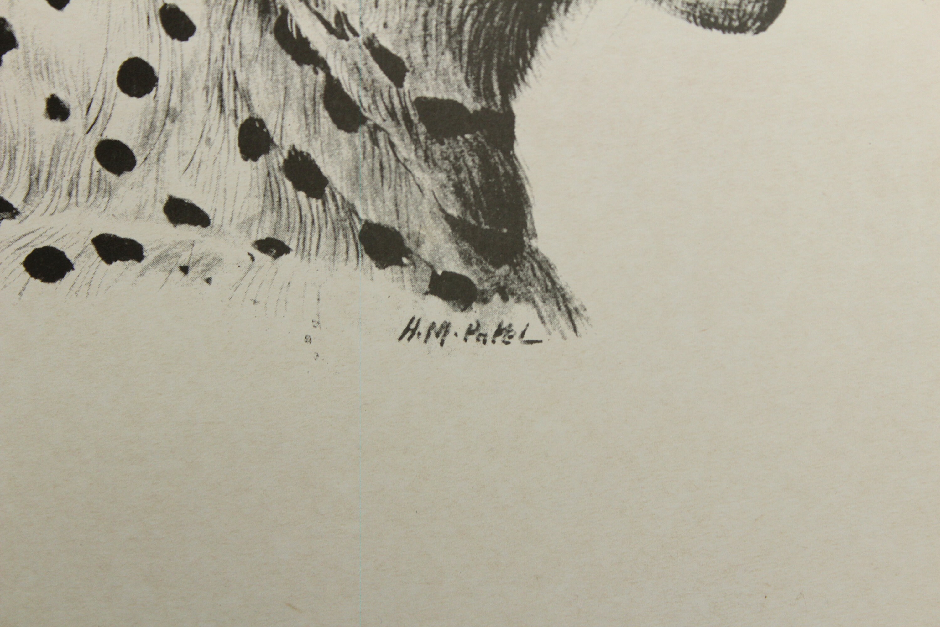 African Cheetah Print Picture on Cardstock White Black 14in X 13in ...