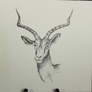African Springbok Print Picture on Cardstock White Black 14in X 13in ...