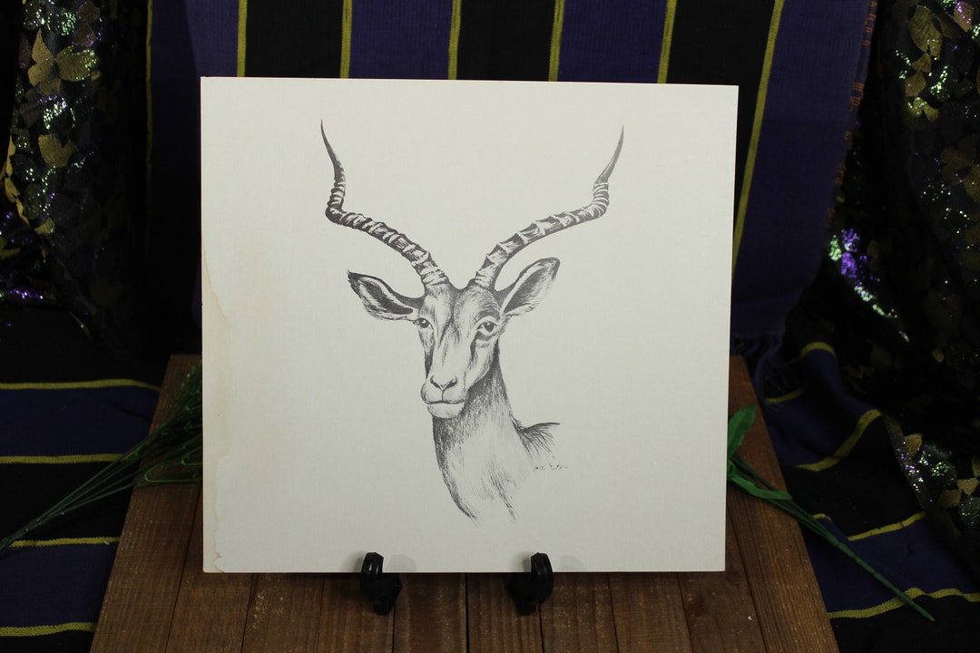 African Springbok Print Picture on Cardstock White Black 14in X 13in ...