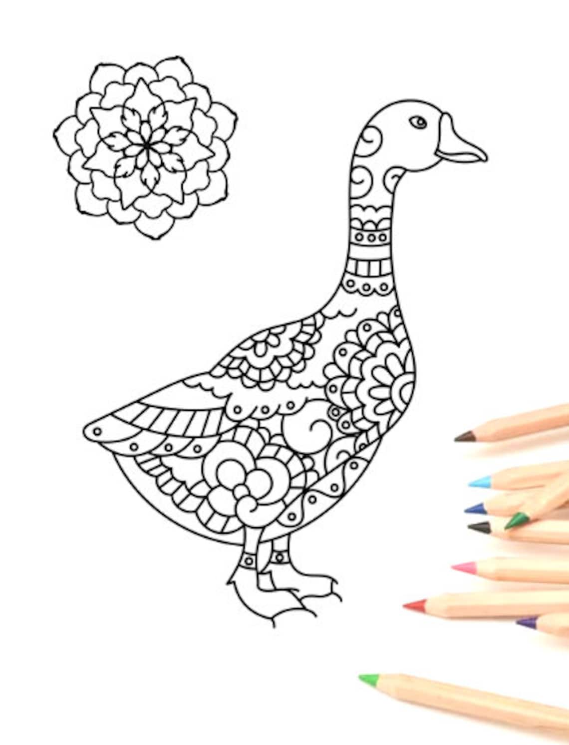 Duck Coloring Page, Instant Download, Animals, Coloring, Printable ...