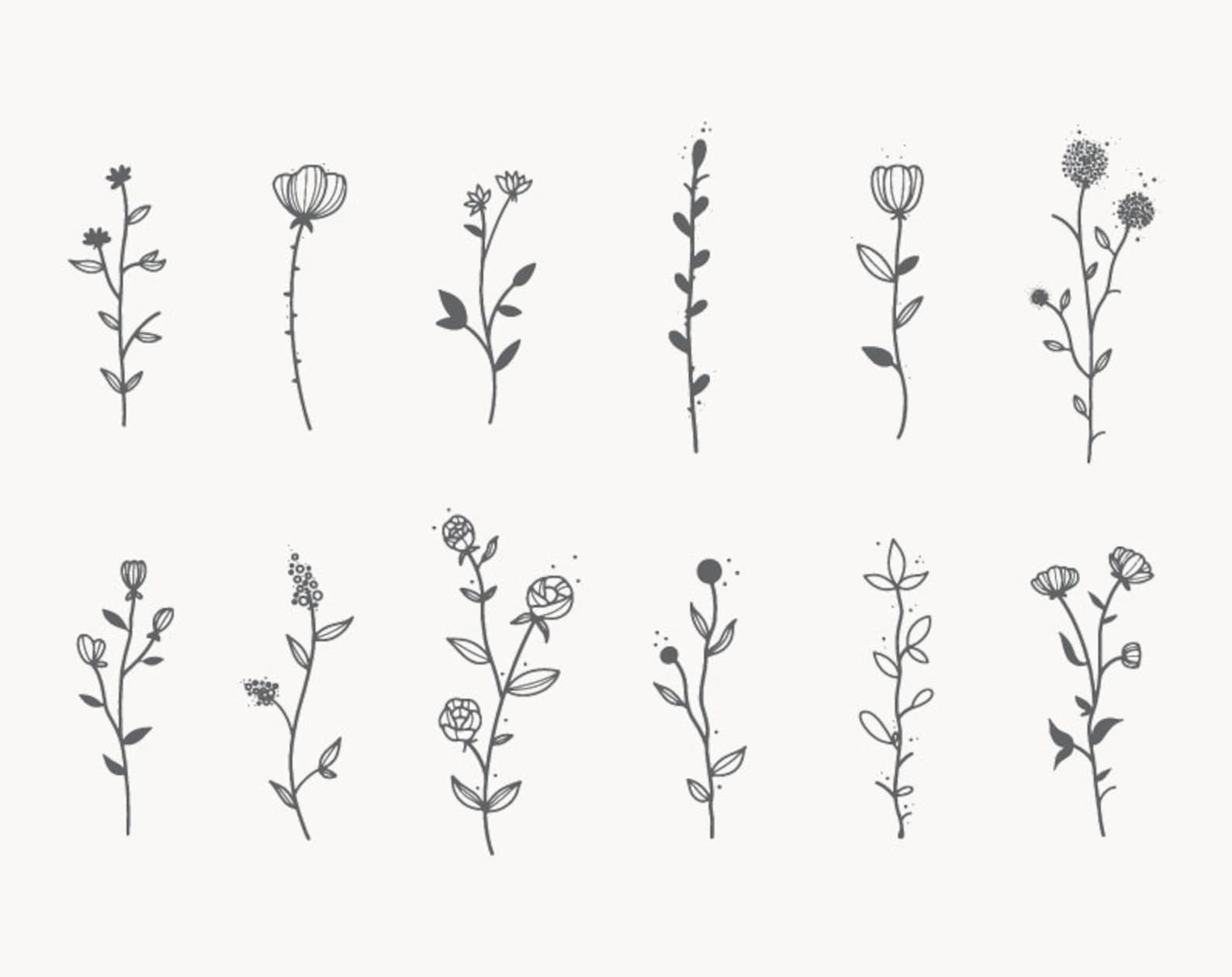 SVG Flower Text Dividers, Flower SVG, Flourishes, Flower Cut Files ...